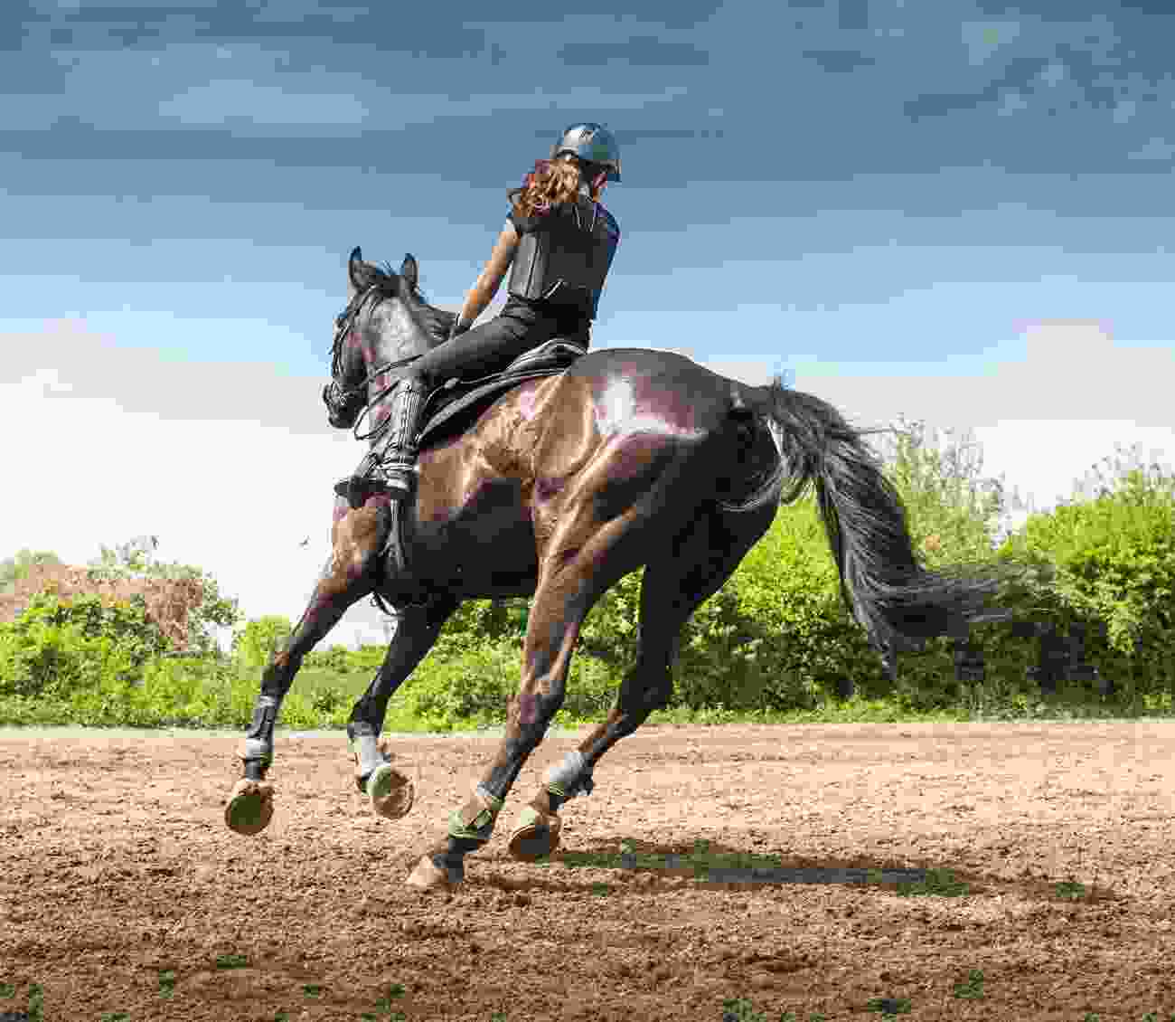 Le centre equestre – Ecuries Art Questro – Centre Equestre à Fromelles